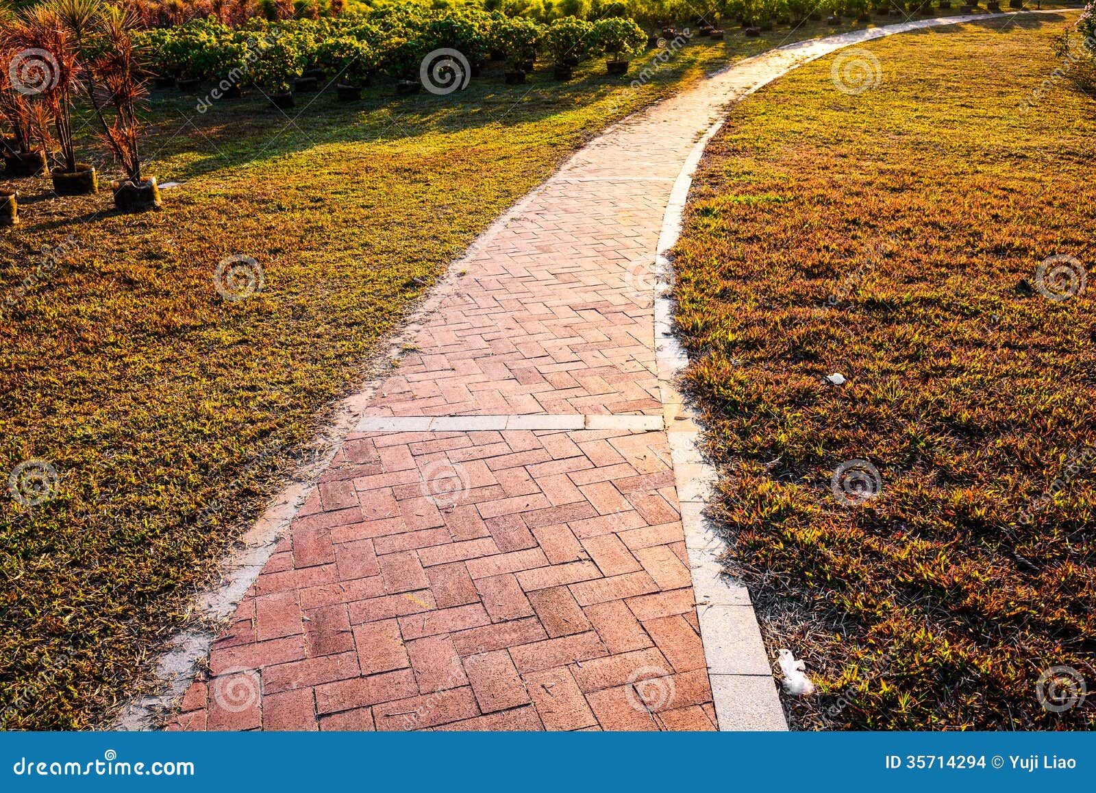 Path Sunset Garden Landscape Stock Photo - Image of beauty, forest ...