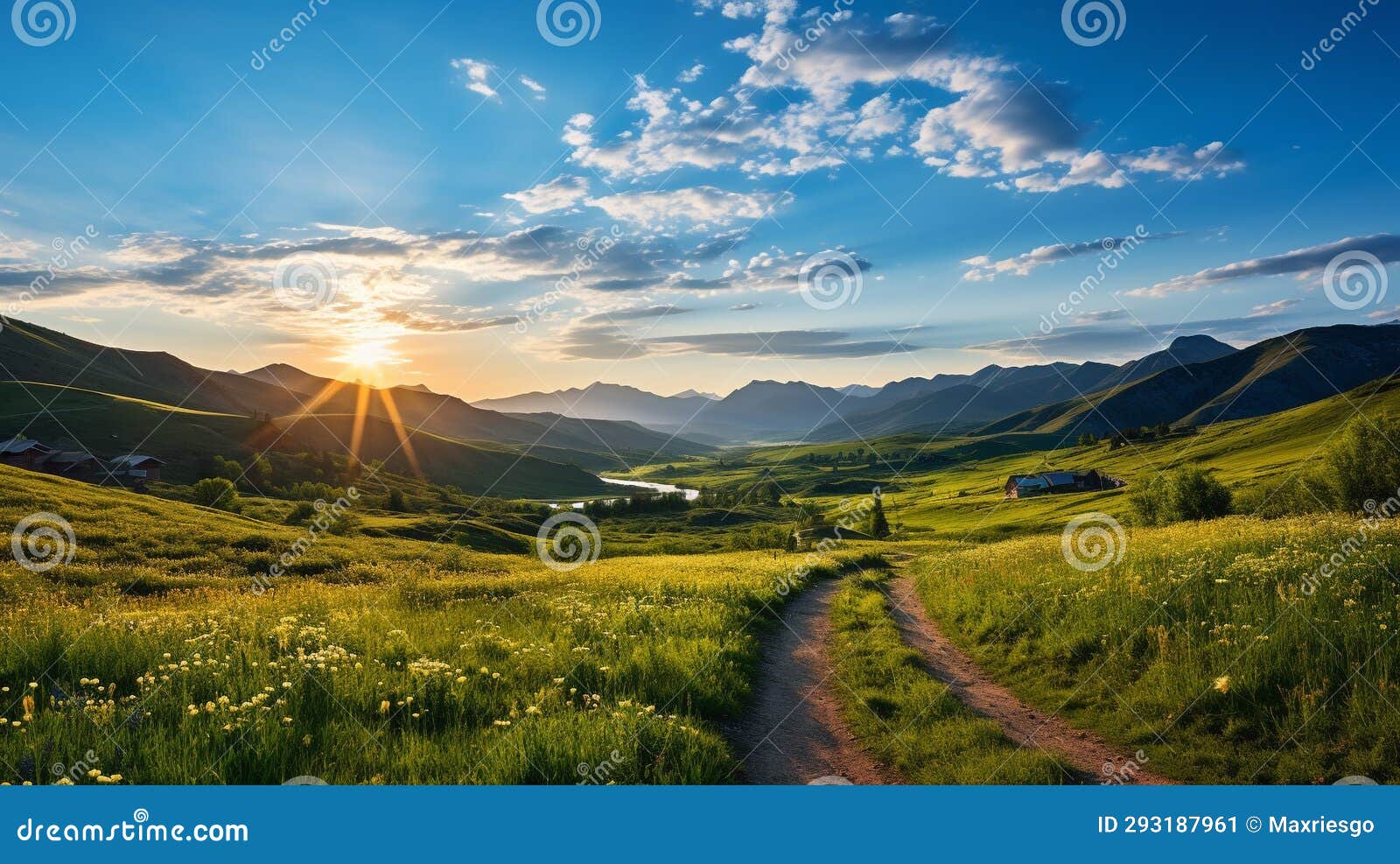 A Path at Sunset in a Meadow with Flowers in Wide Angle Image Stock ...