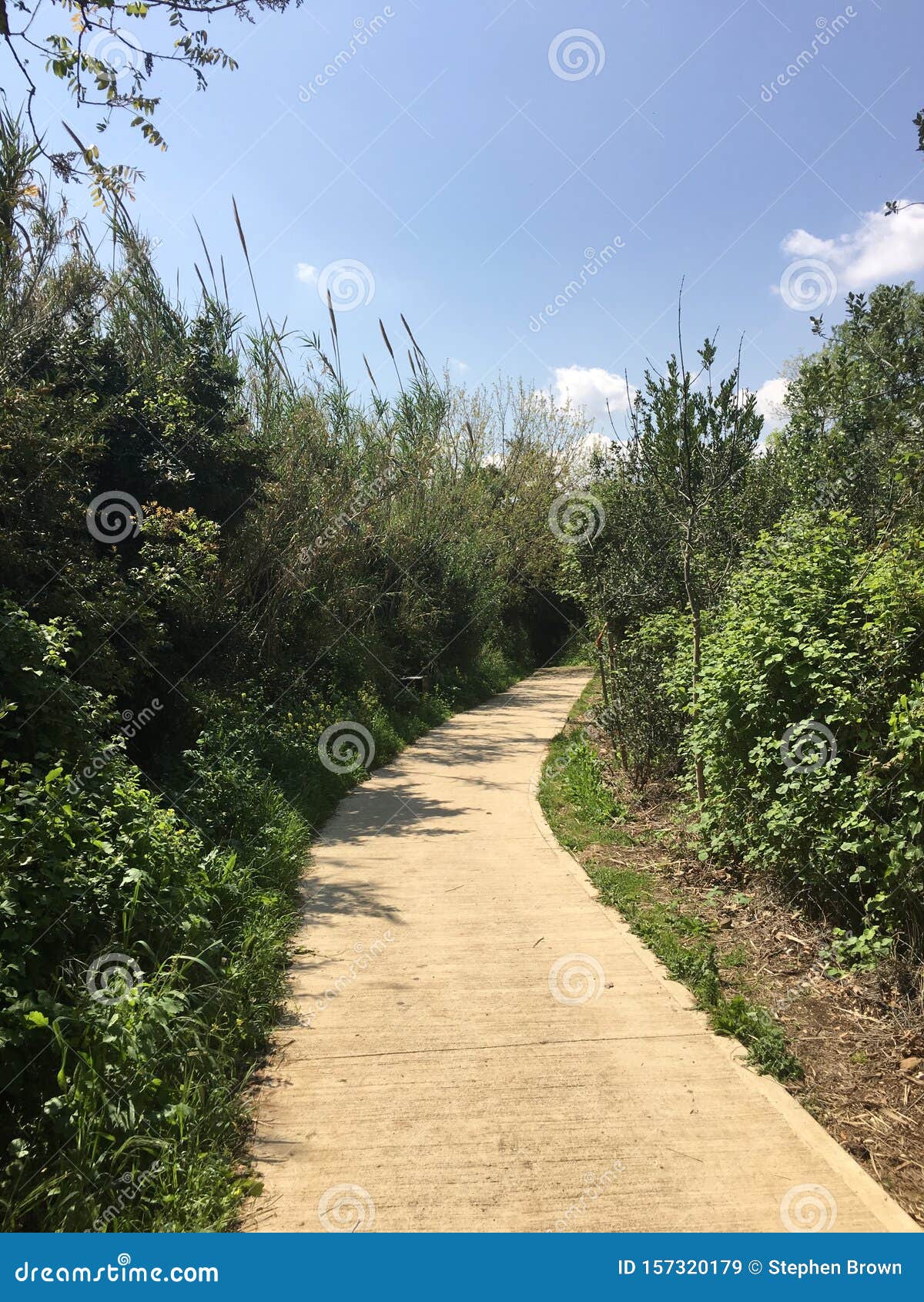 Path in the sunshine stock image. Image of path, grass - 157320179