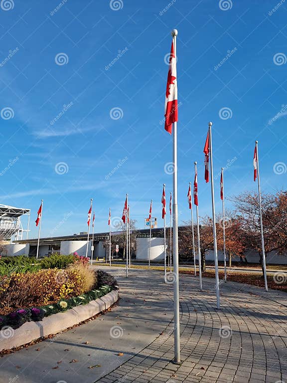 Path Surrounded by Canadian Flags in Toronto Stock Image - Image of ...