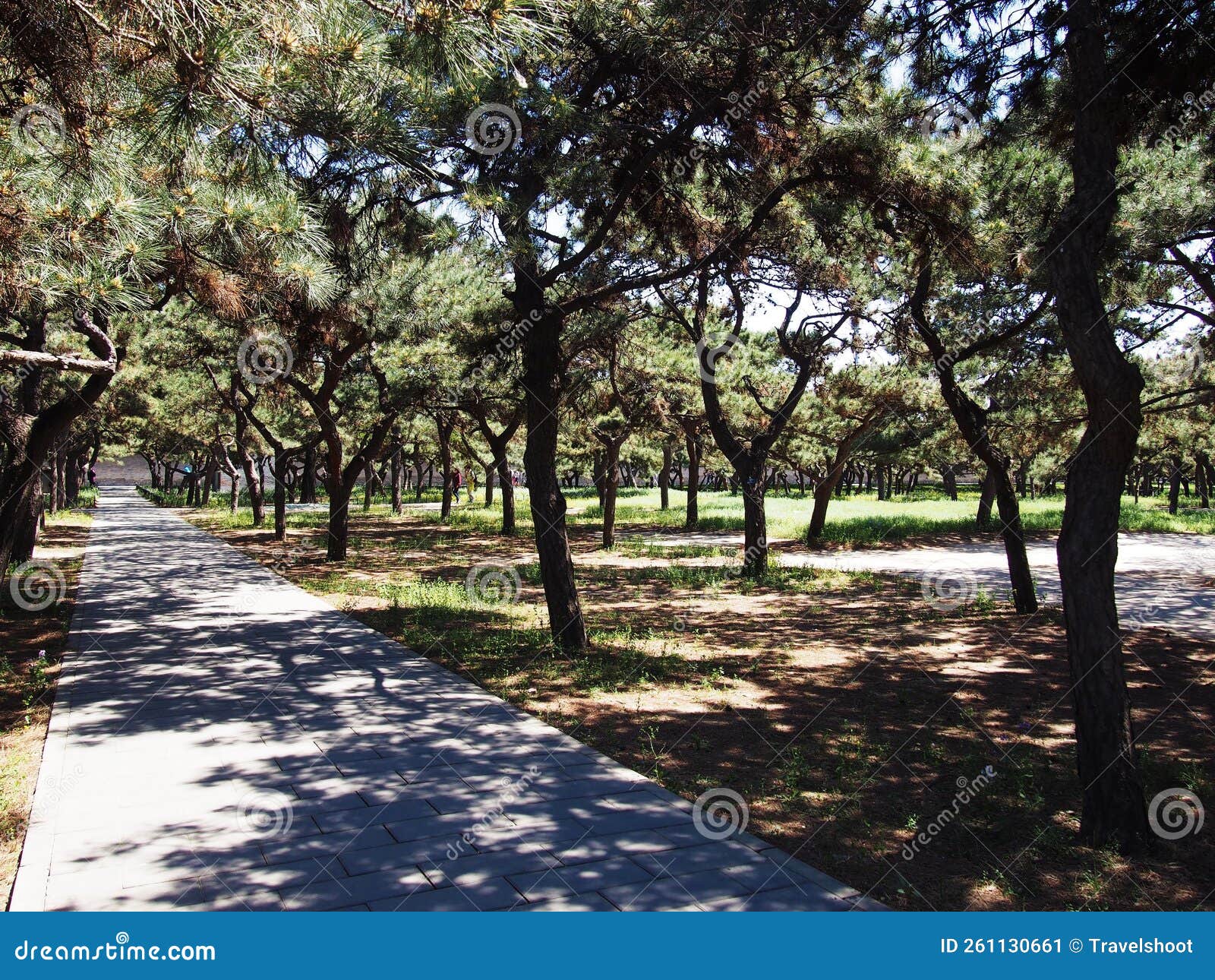Path in Temple Garden in China Stock Image - Image of tree, trail ...