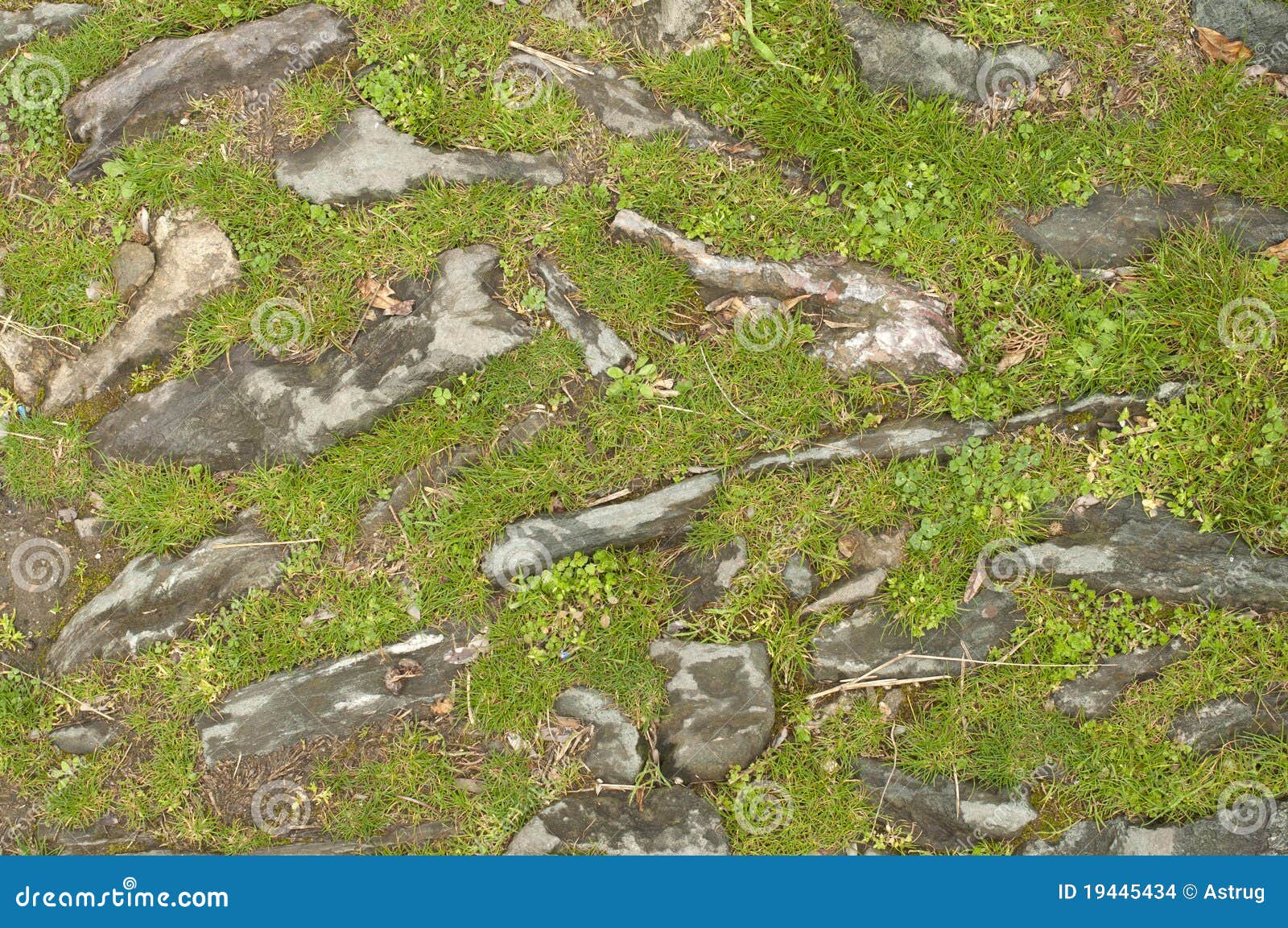 Path Texture Stock Images - Image: 19445434