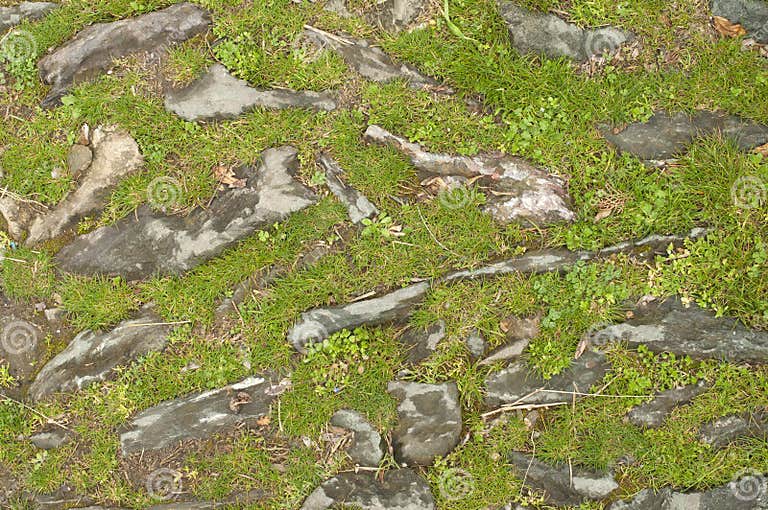 Path texture stock photo. Image of pathway, thessaloniki - 19445434