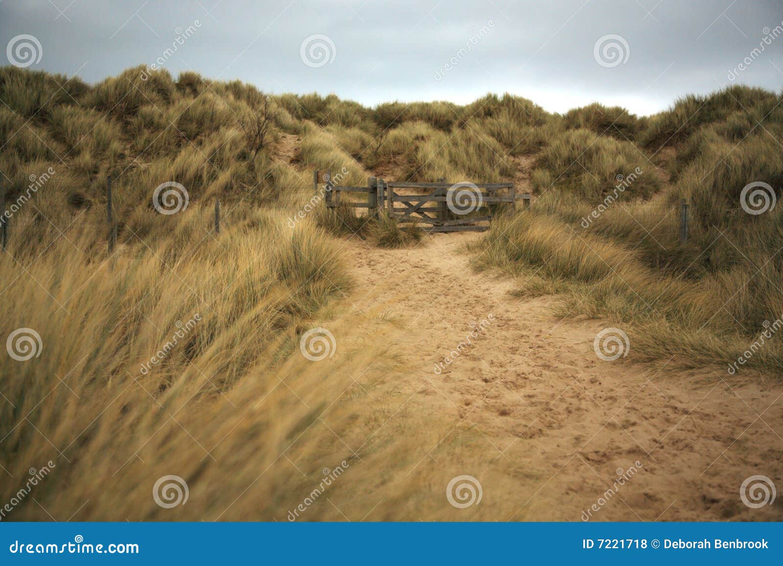Path Throught the Sand Dunes Stock Photo - Image of coast, blue: 7221718
