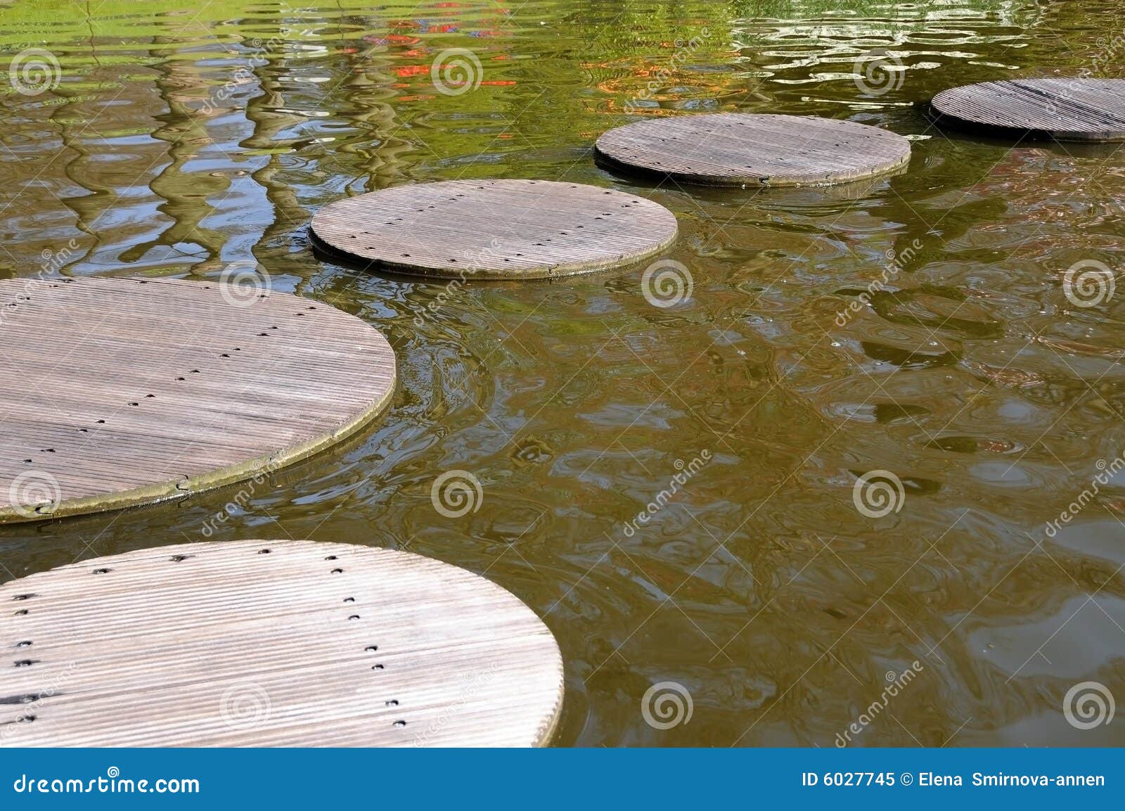 Path thru a pond stock image. Image of nature, surface - 6027745