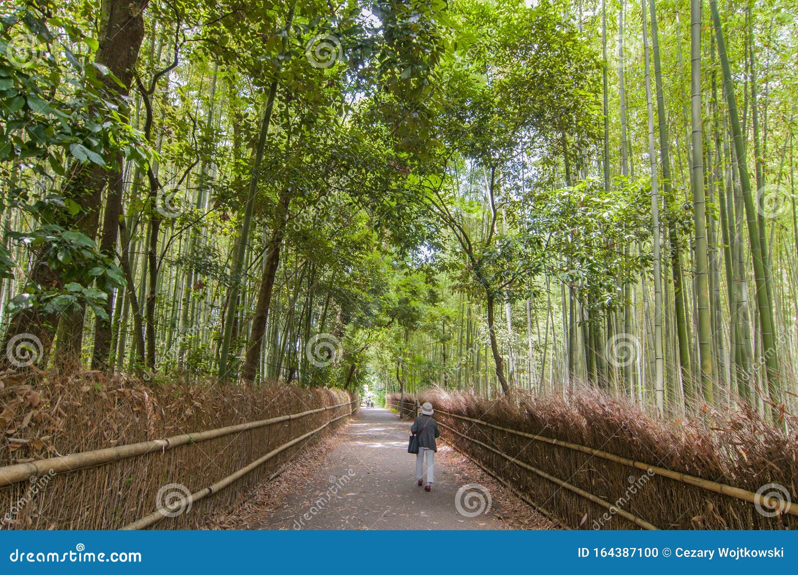 Path To Bamboo Forest, Arashiyama, Kyoto, Japan Editorial Image - Image ...