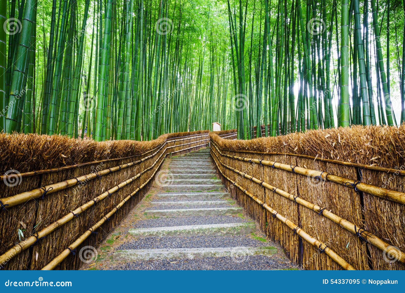 Path To Bamboo Forest, Arashiyama, Kyoto, Japan Stock Image - Image of ...
