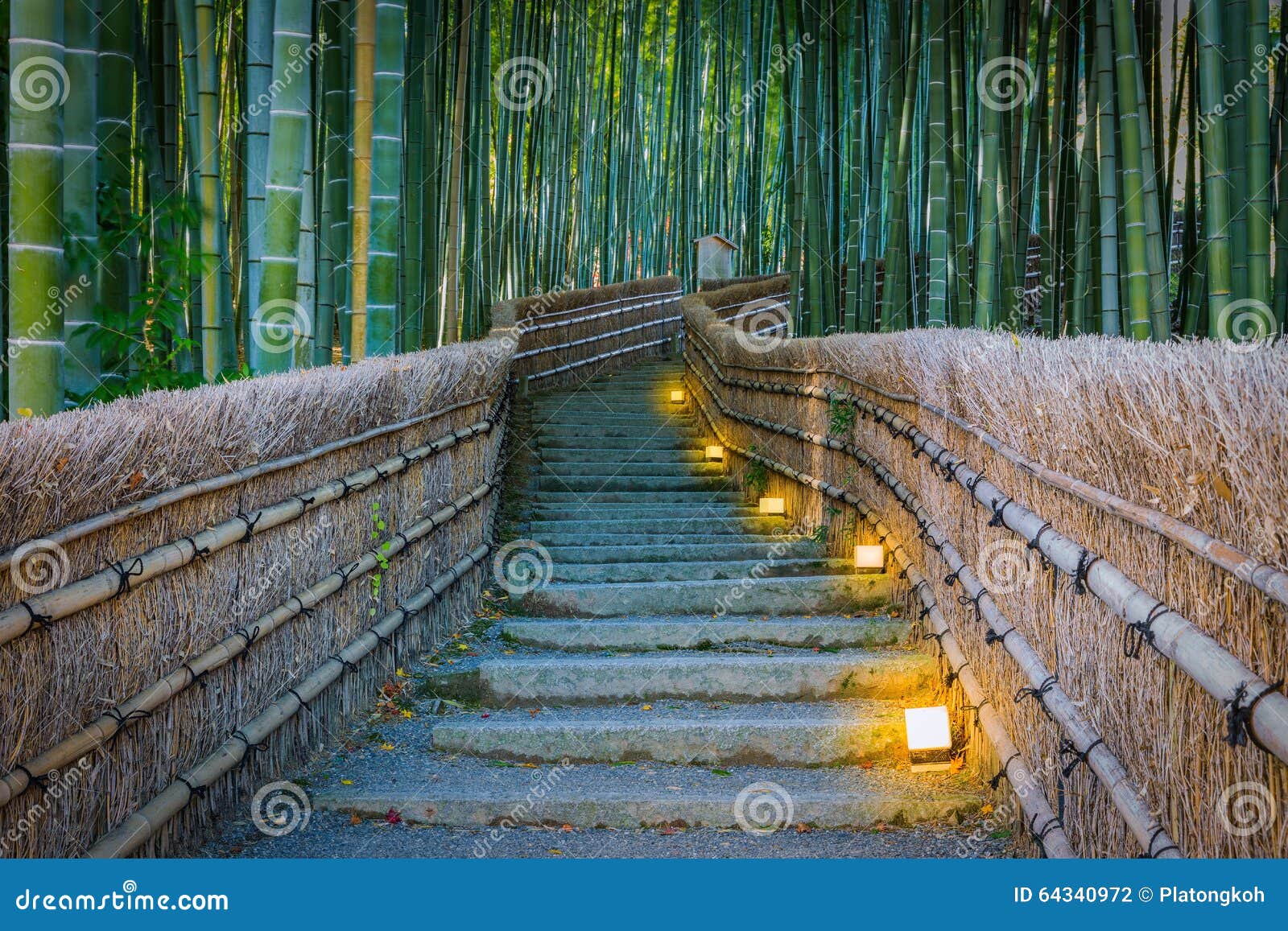 Path To Bamboo Forest, Arashiyama, Kyoto Stock Photo - Image of ...