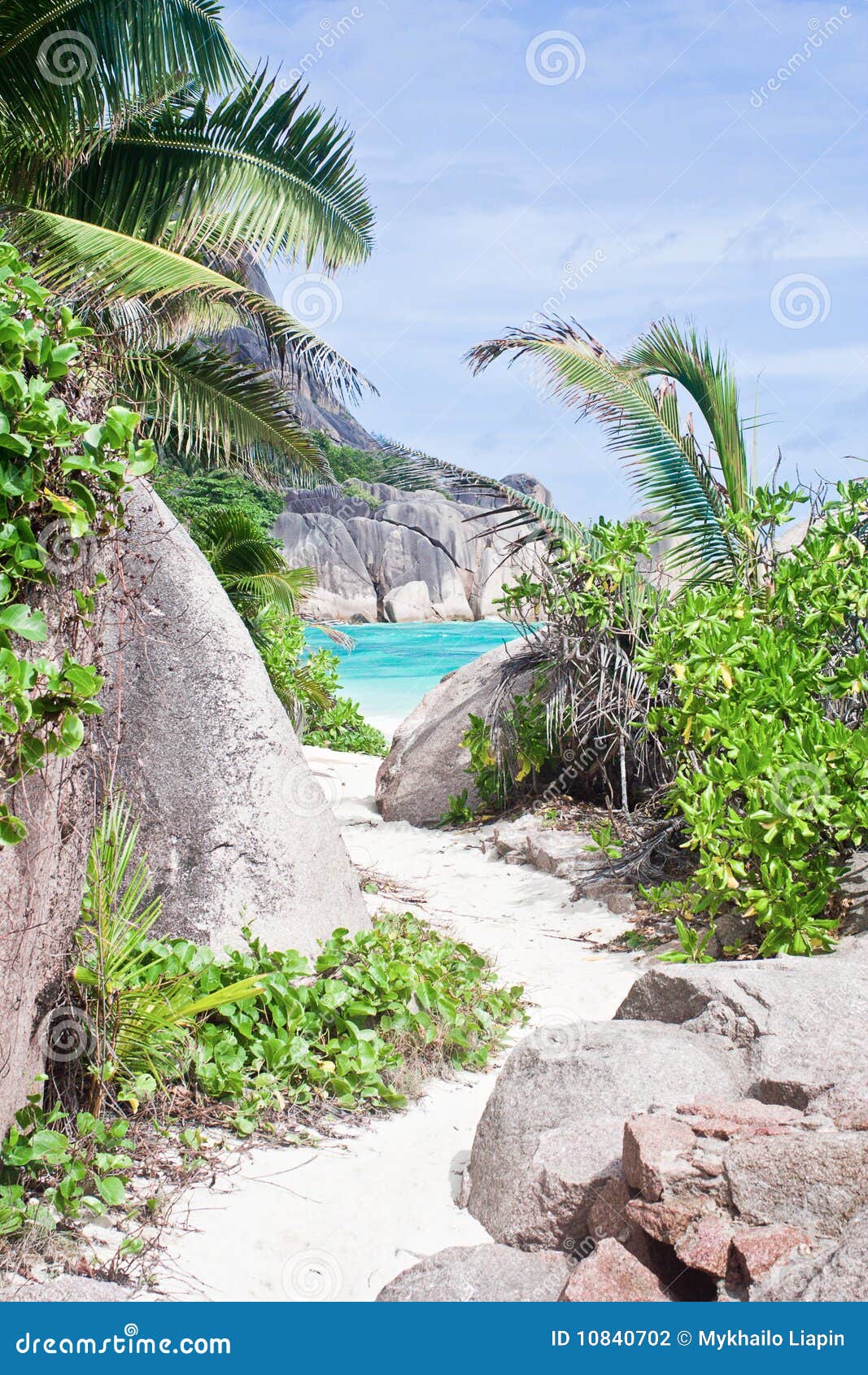 Path to the beach stock photo. Image of blue, destinations - 10840702