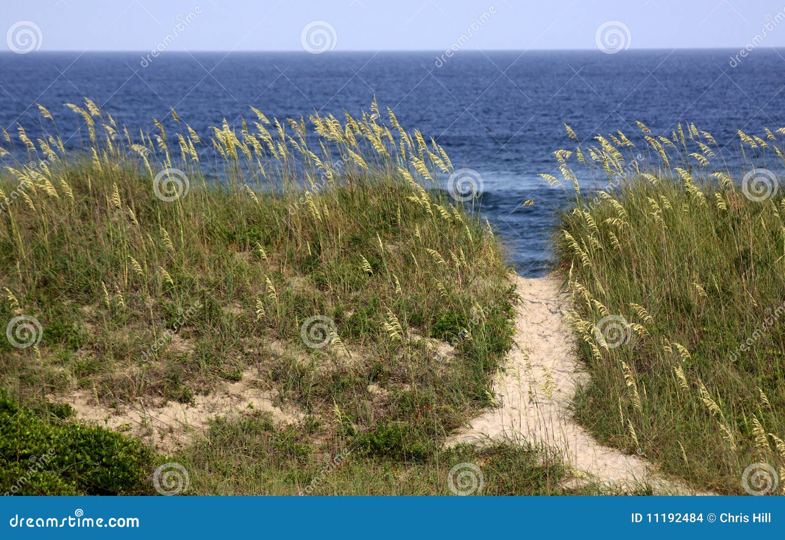 Path to the Beach stock photo. Image of north, beach - 11192484
