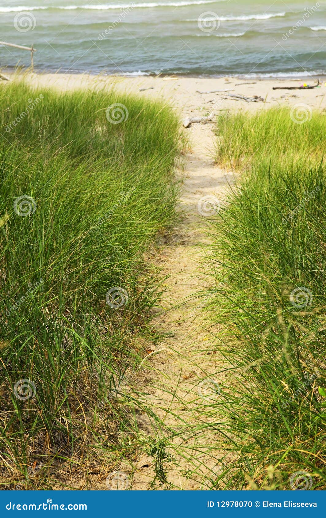 Path to beach stock photo. Image of path, dunes, park - 12978070
