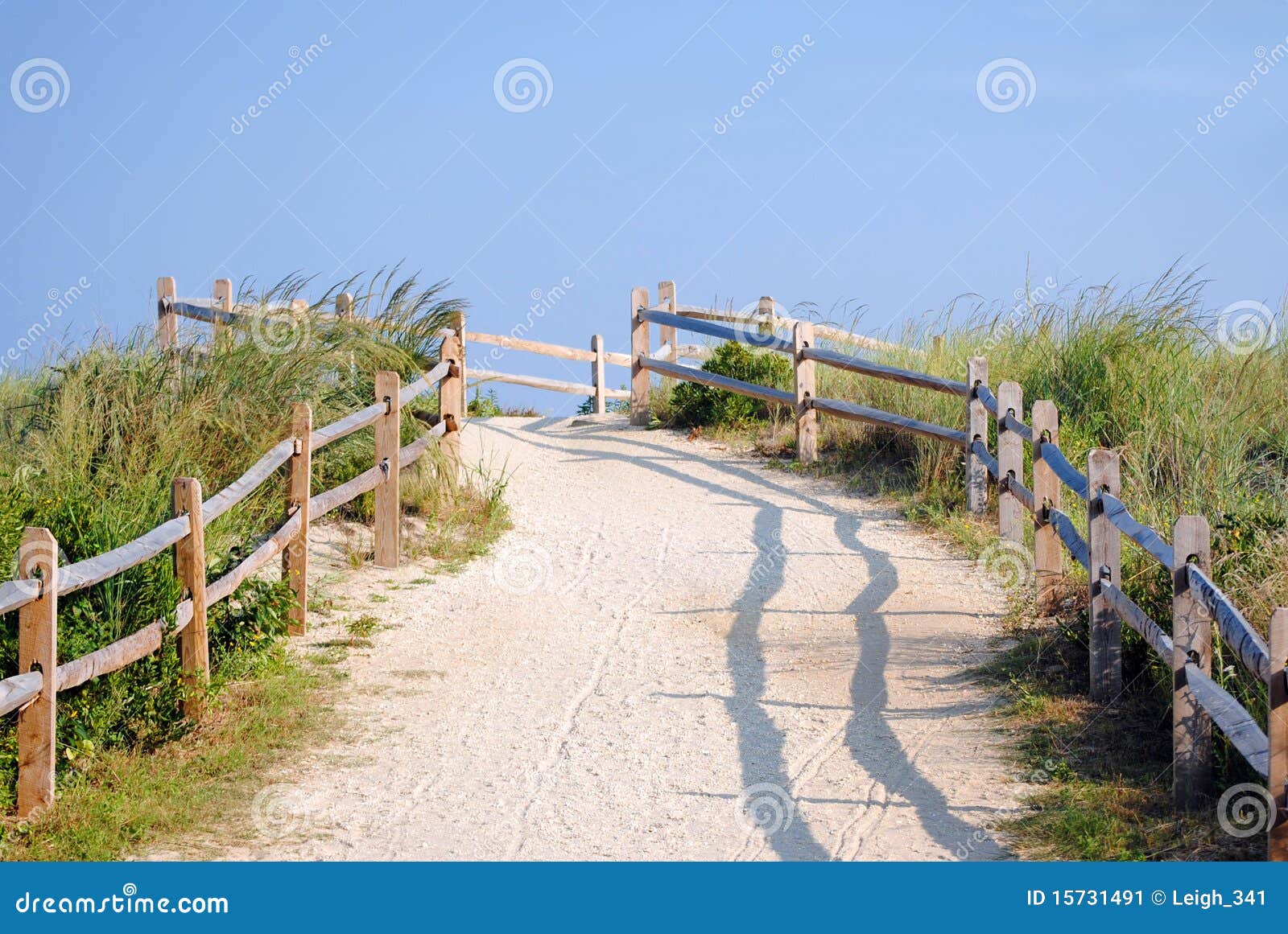Path to the Beach stock image. Image of grass, seashore - 15731491