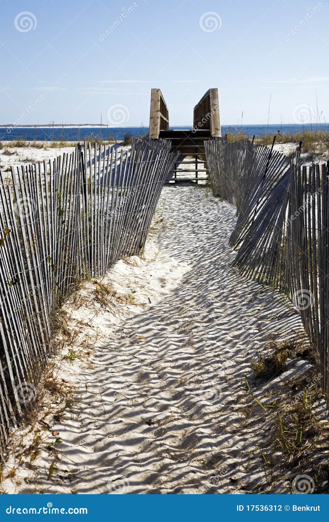 Path to the beach stock photo. Image of gulf, water, mexico - 17536312