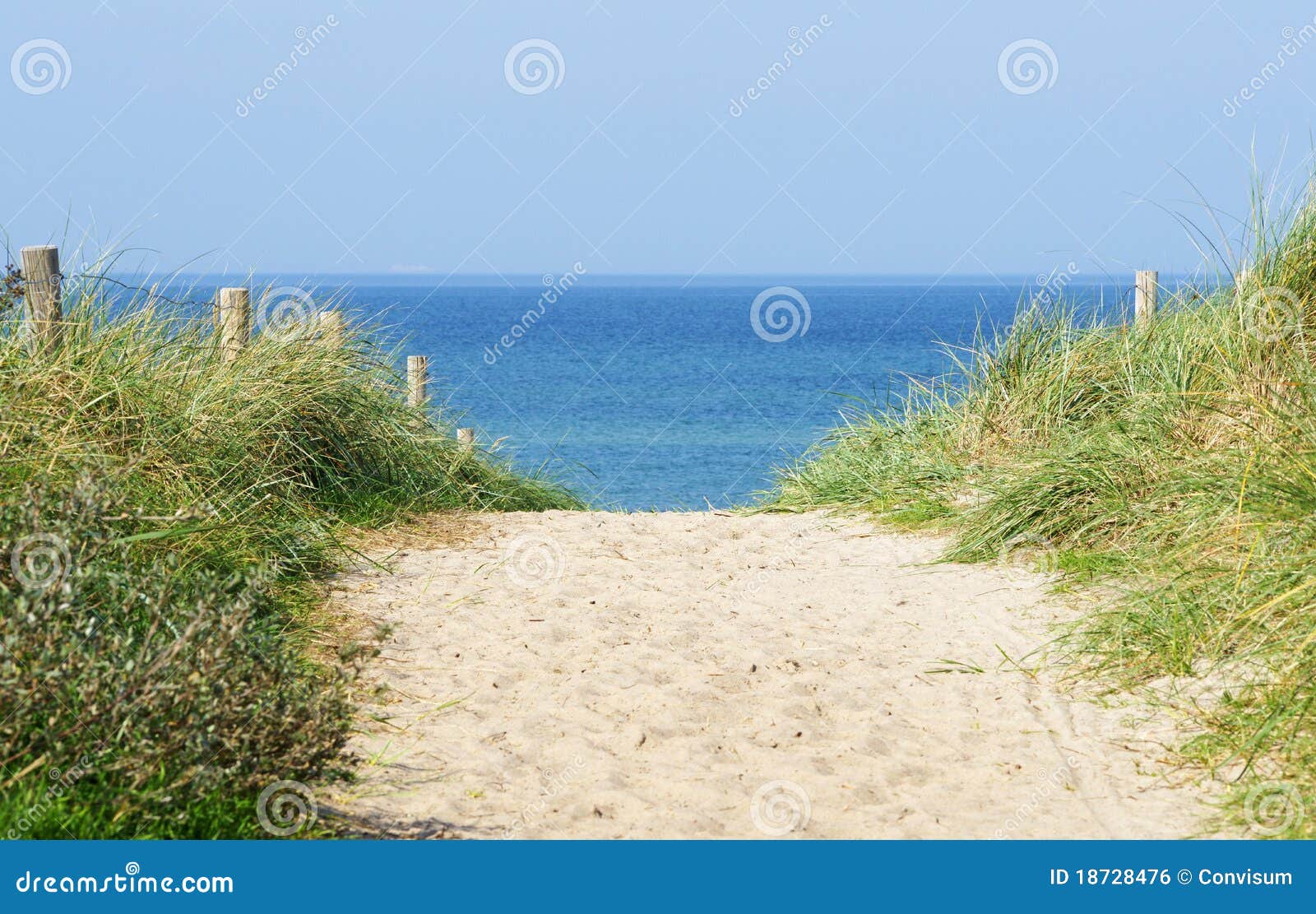 Path to the beach stock photo. Image of empty, grass - 18728476