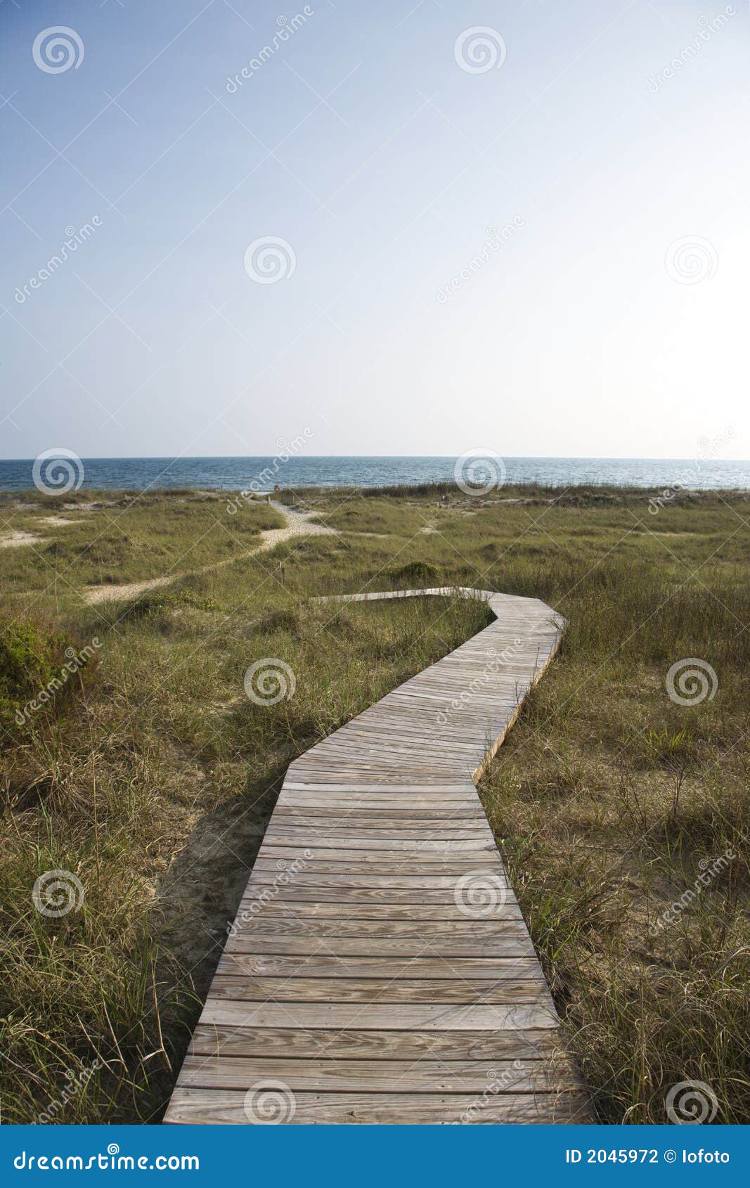 Path to beach stock photo. Image of walkway, pathway, travel - 2045972