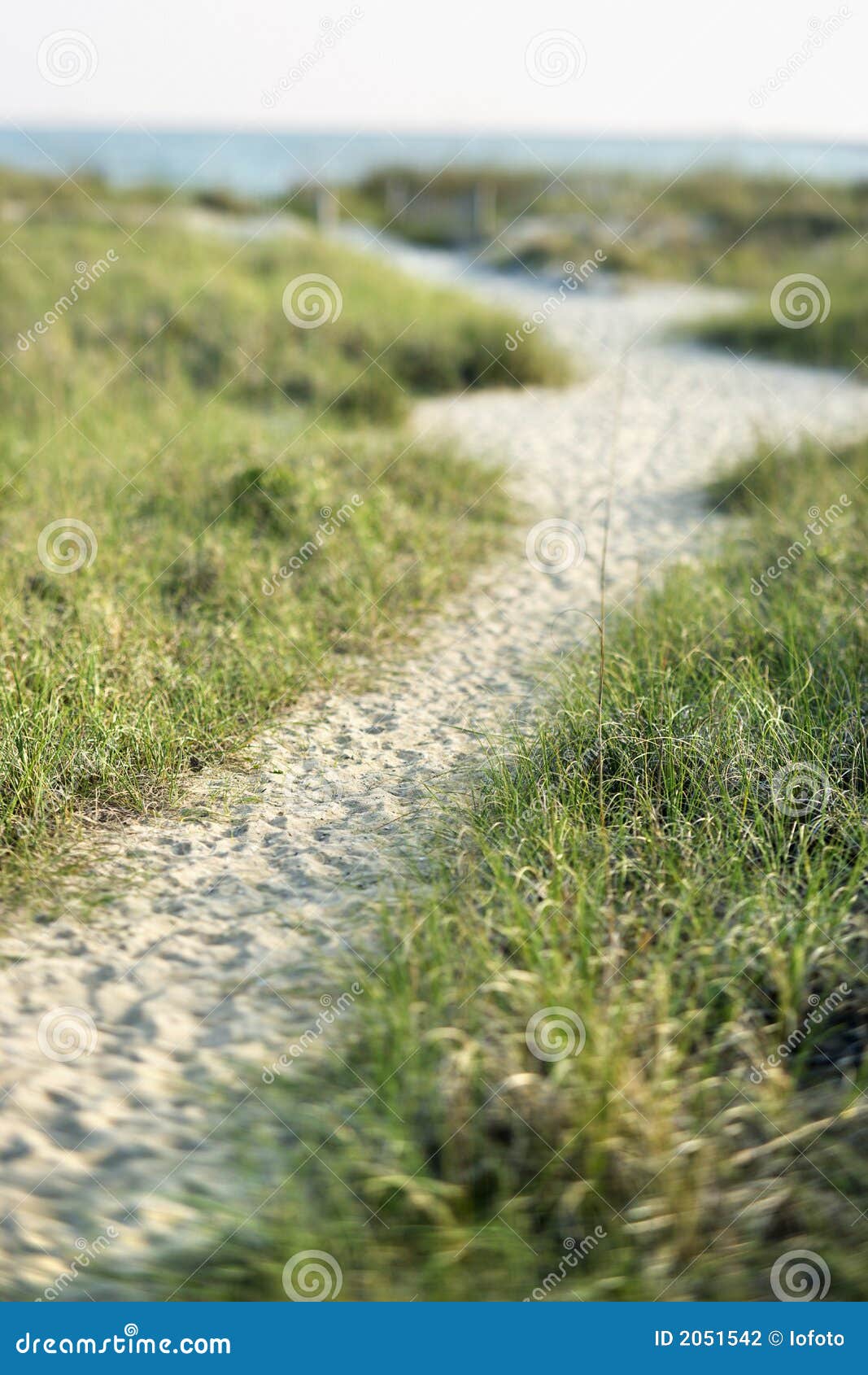 Path to beach stock photo. Image of travel, colour, walkway - 2051542