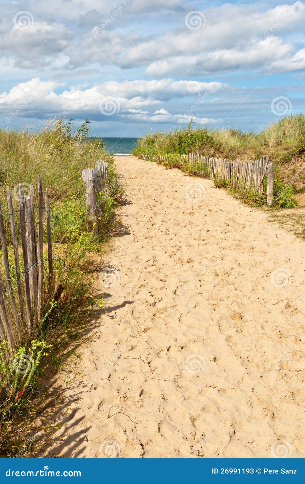 Path to the Beach stock image. Image of scenery, ocean - 26991193