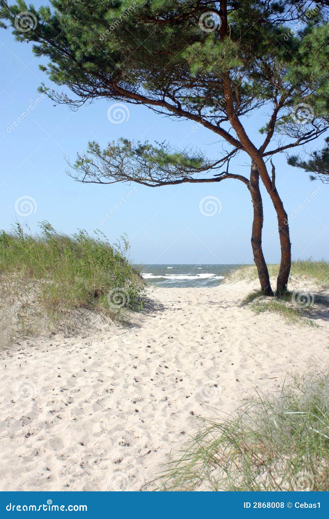 Path to the beach stock photo. Image of beach, dunes, coast - 2868008