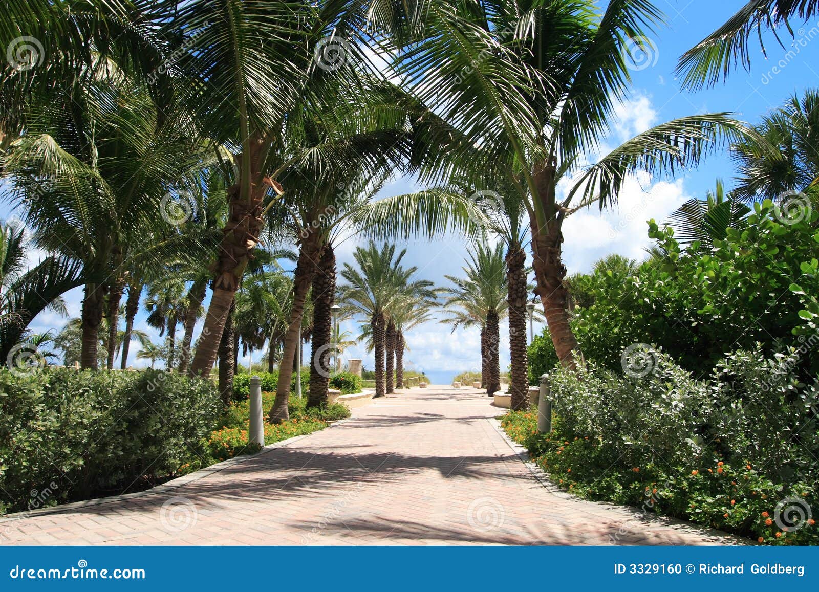 Path to Beach stock photo. Image of sand, miami, water - 3329160