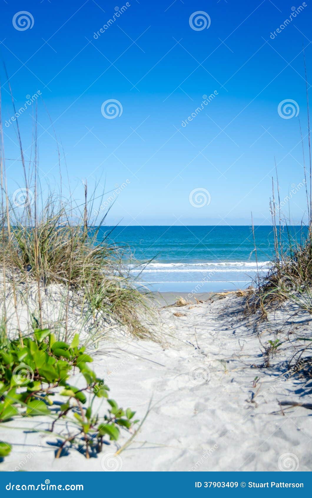 Path to the Beach stock image. Image of empty, atlantic - 37903409