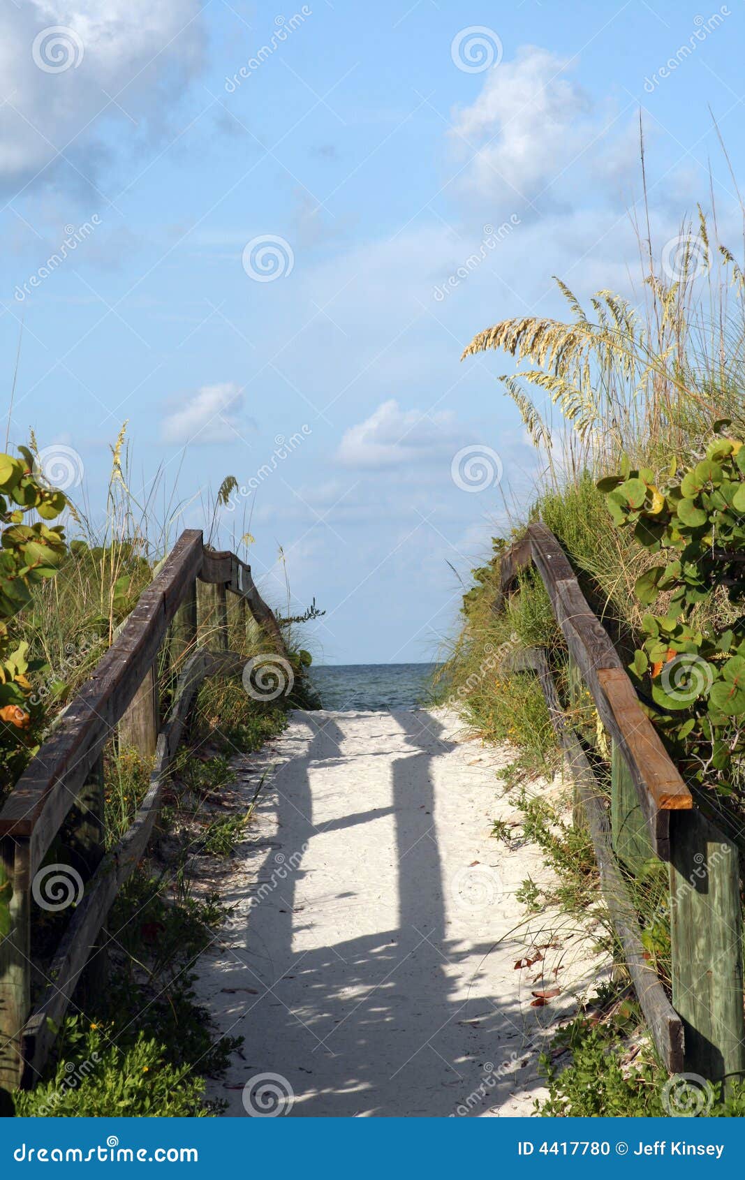 Path to the beach stock photo. Image of scenic, ocean - 4417780