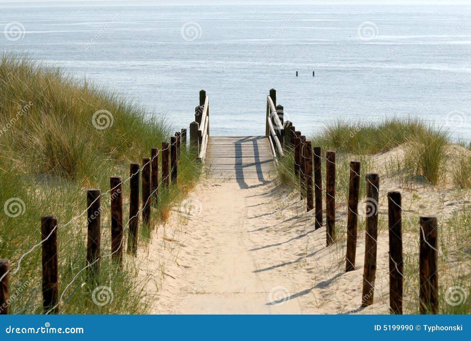 Path to the beach stock photo. Image of water, outdoor - 5199990