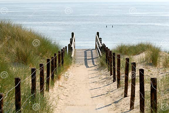 Path to the beach stock photo. Image of water, outdoor - 5199990