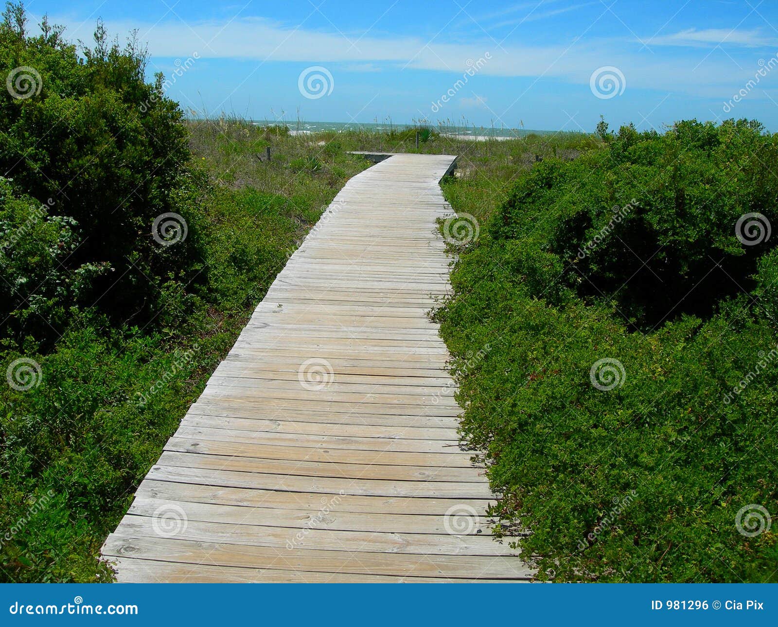 Path to beach stock photo. Image of blue, path, americana - 981296