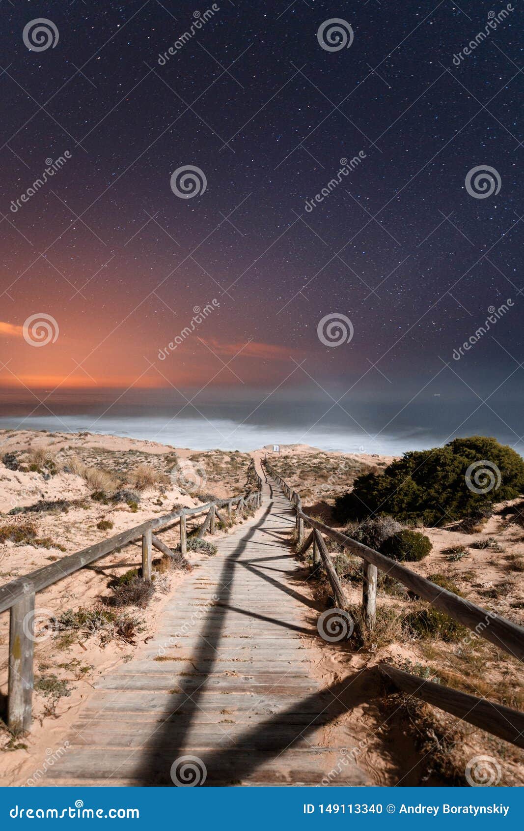 Path To the Beach with Starry Sky Editorial Image - Image of cosmos ...