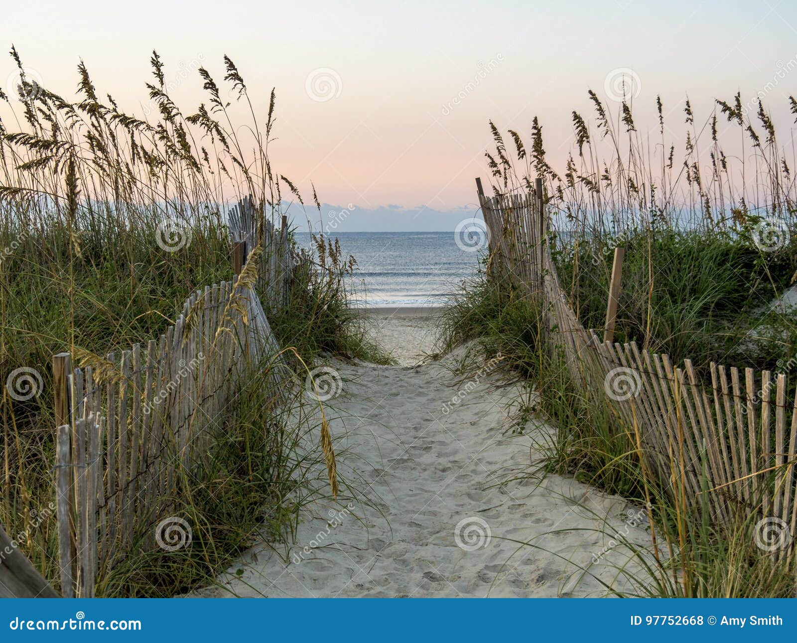 The path to the beach stock photo. Image of walkway, dunes - 97752668
