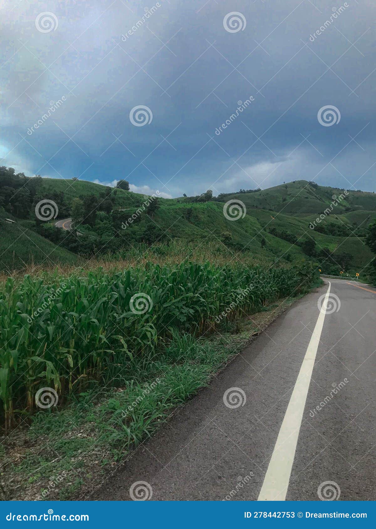 Path to destination stock image. Image of destination - 278442753