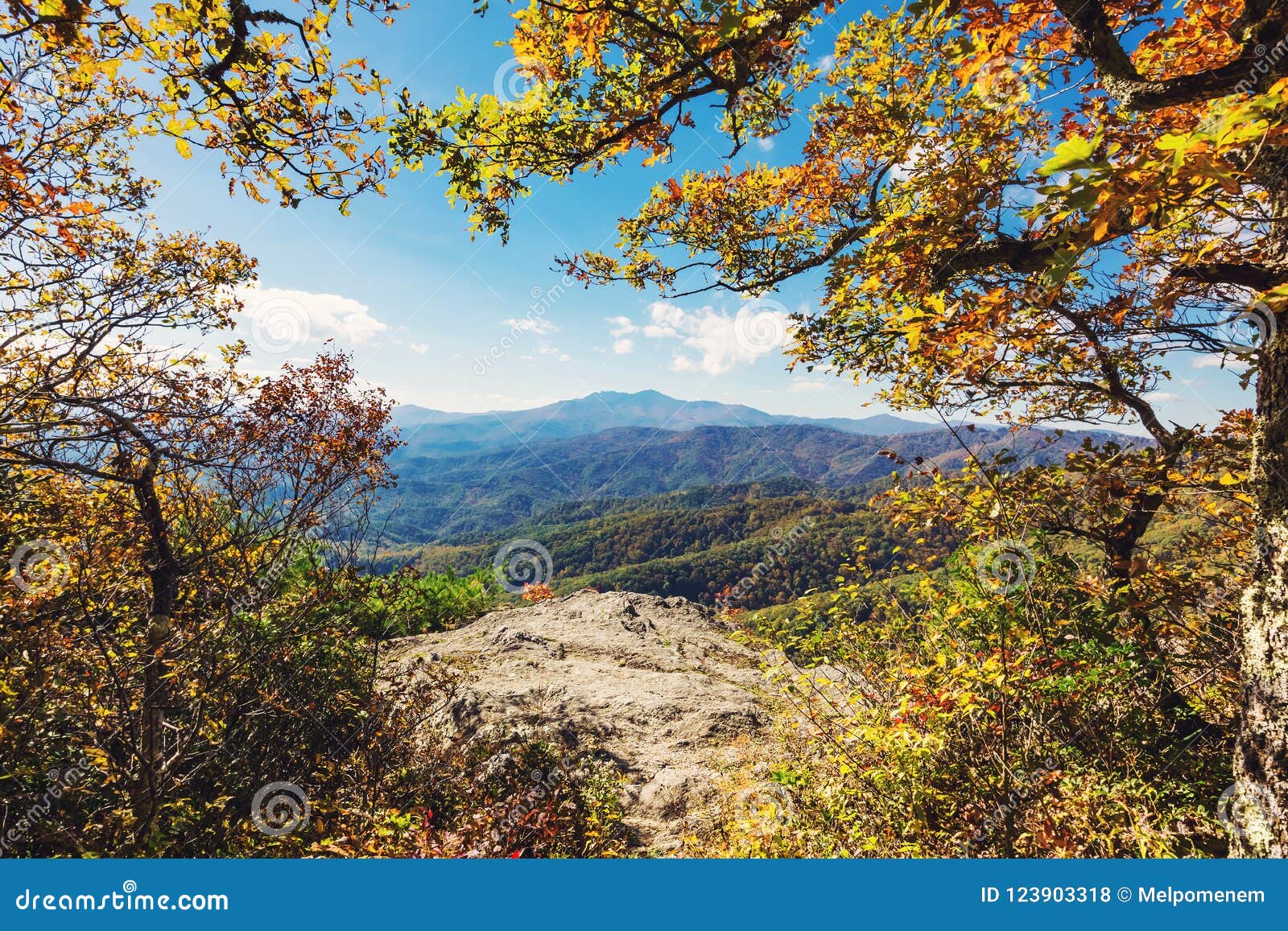 Path To the Edge of a Cliff Stock Photo - Image of horizon, sunlight ...