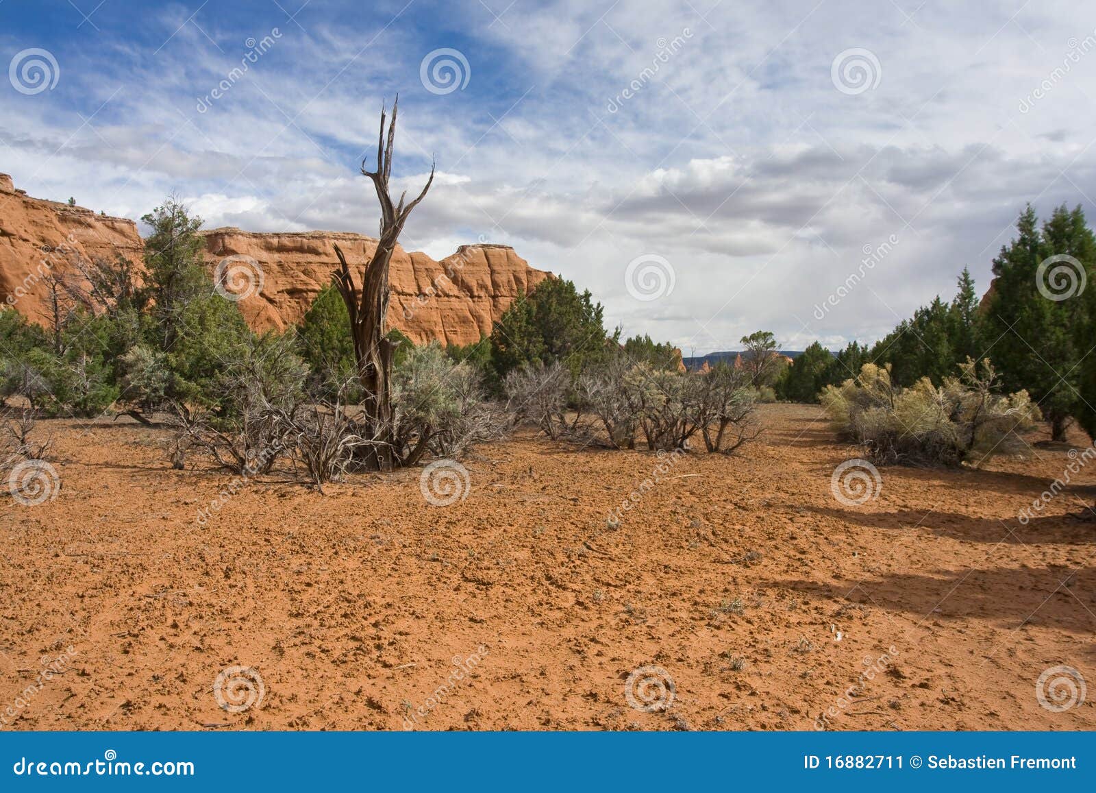 Path to explore stock image. Image of nature, orange - 16882711