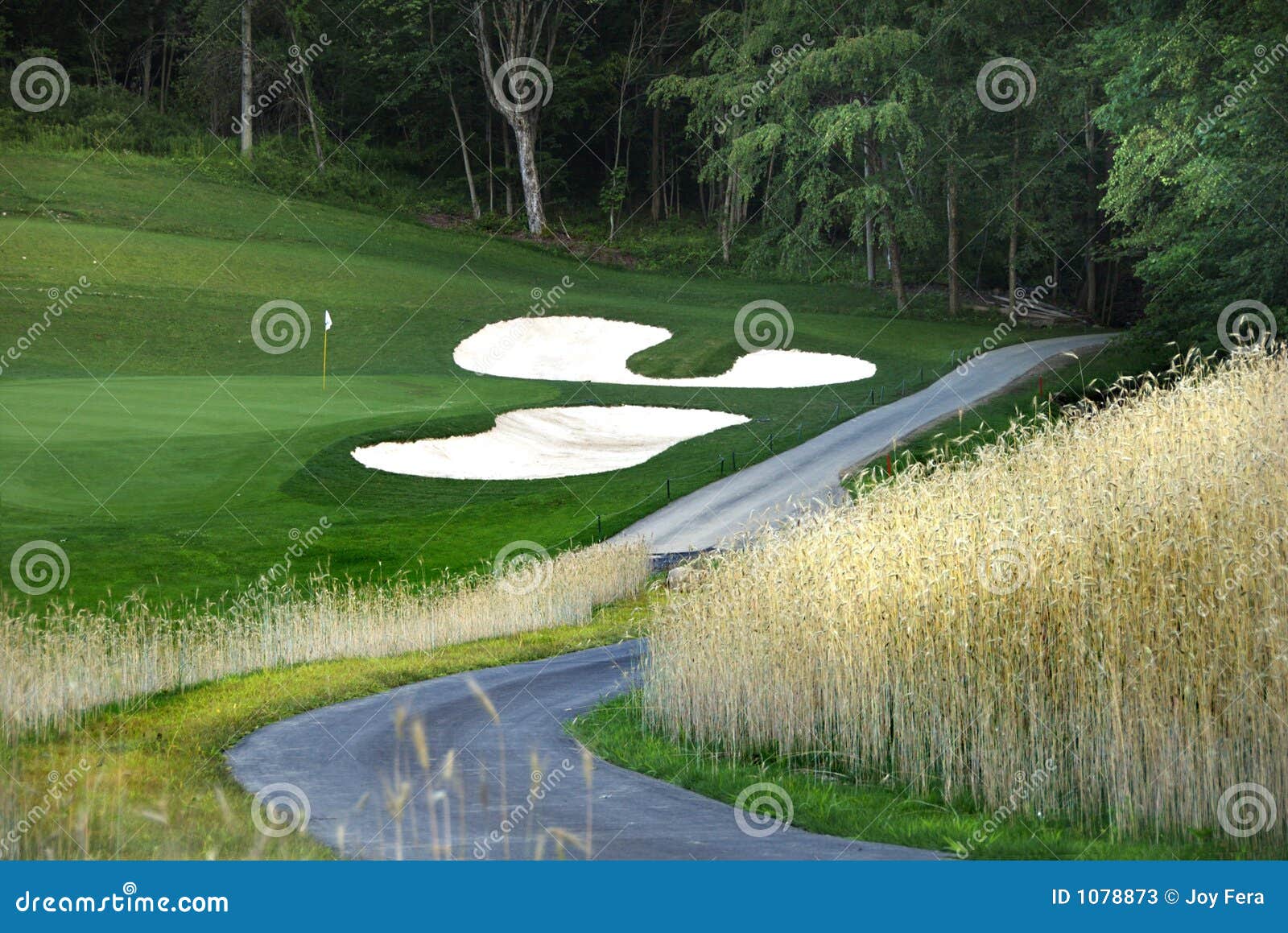 Path to the Golf Course stock image. Image of play, road - 1078873