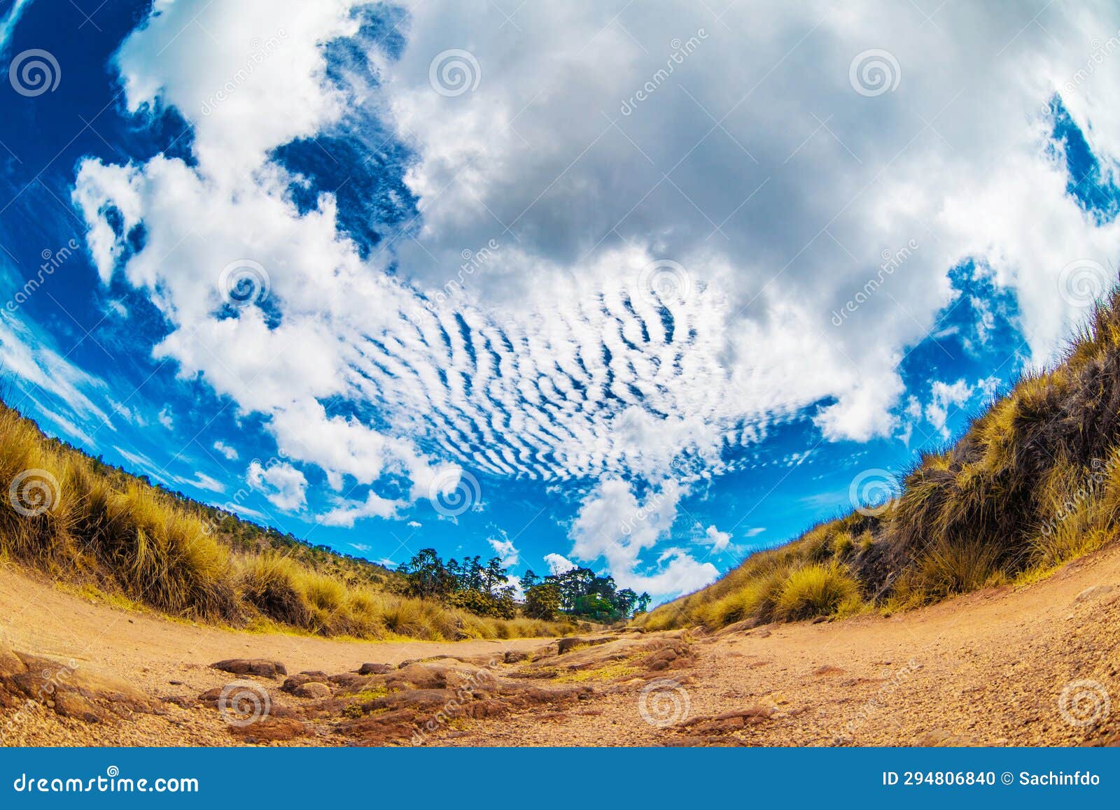 The Path To Heaven with a Blue Sky Stock Photo - Image of prairie ...