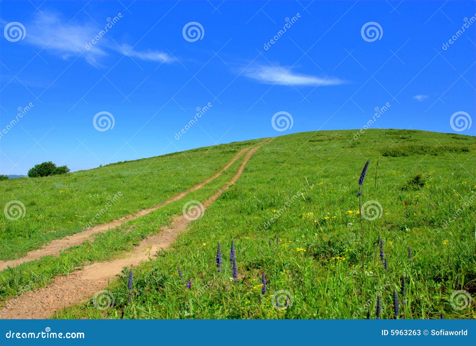 Path to the hill stock image. Image of cloudy, hill, agriculture - 5963263
