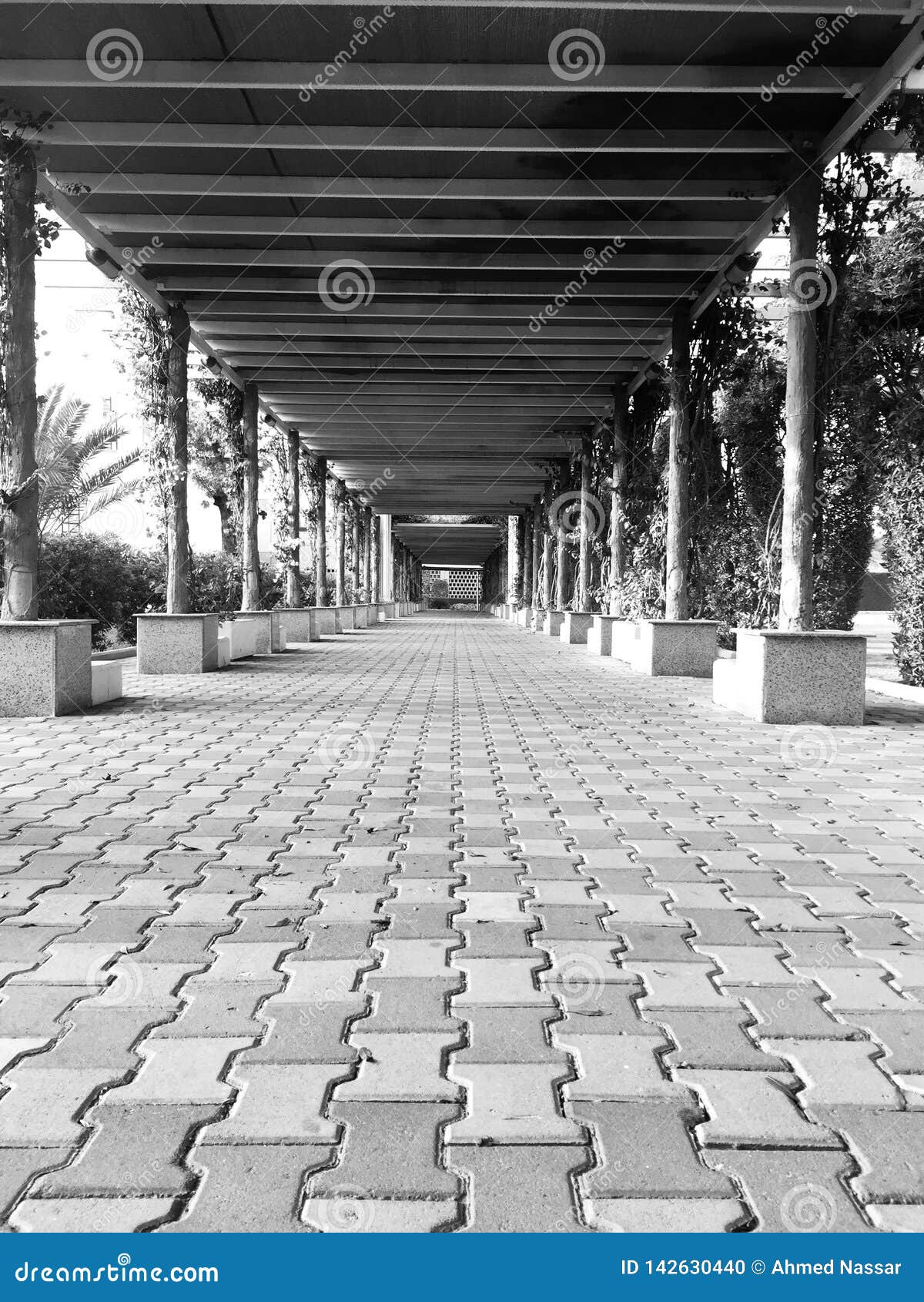 Path to hope and happiness stock photo. Image of footpath - 142630440