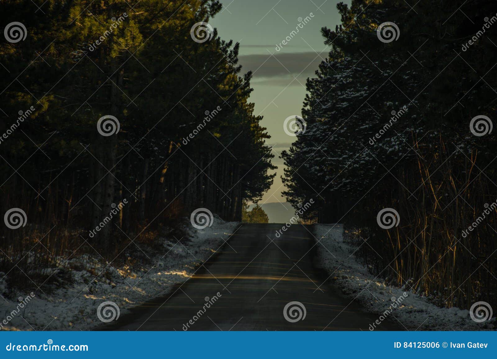 Path to hope stock photo. Image of high, road, post, woods - 84125006