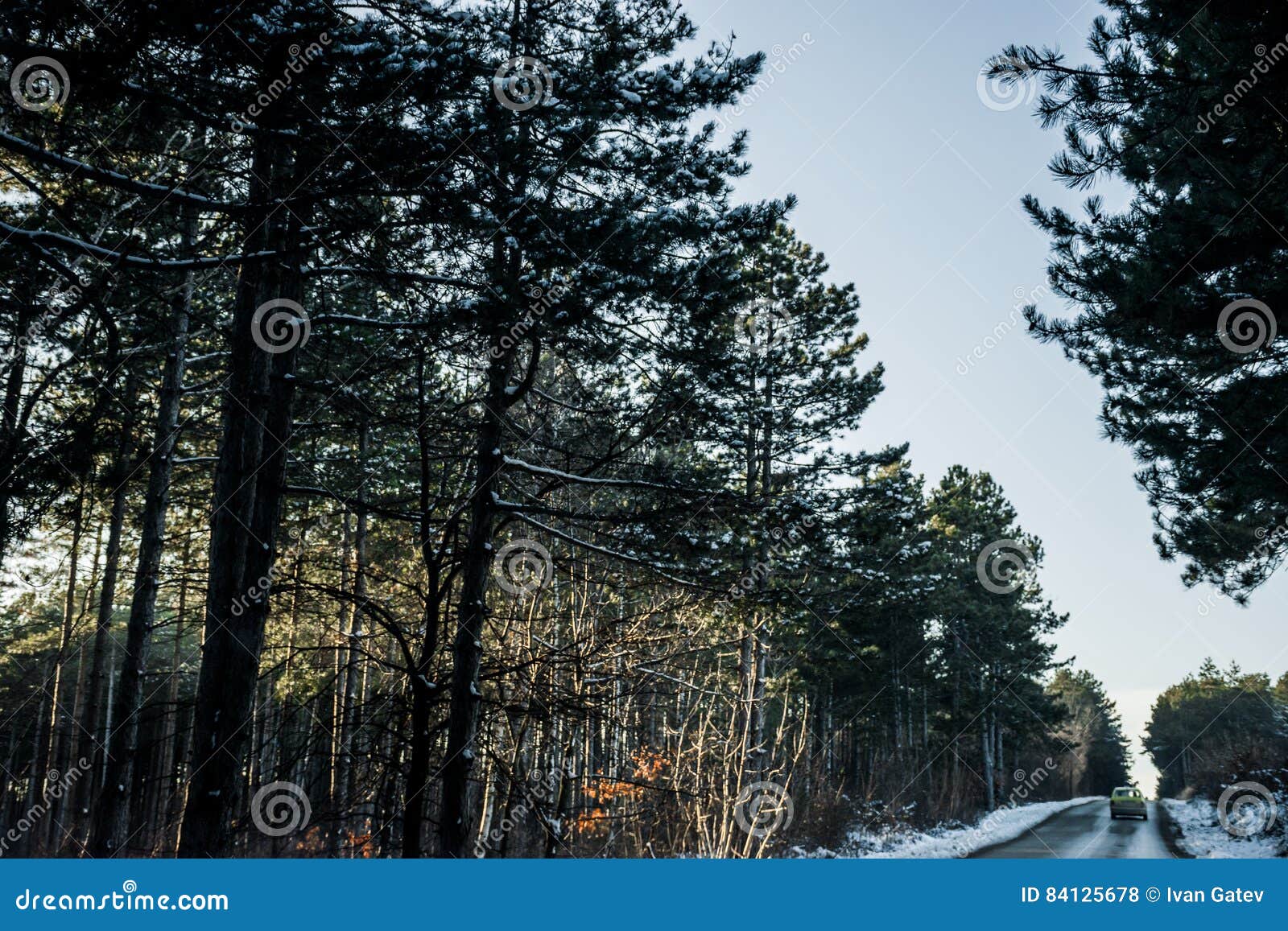 Path to hope stock photo. Image of clouds, pine, road - 84125678