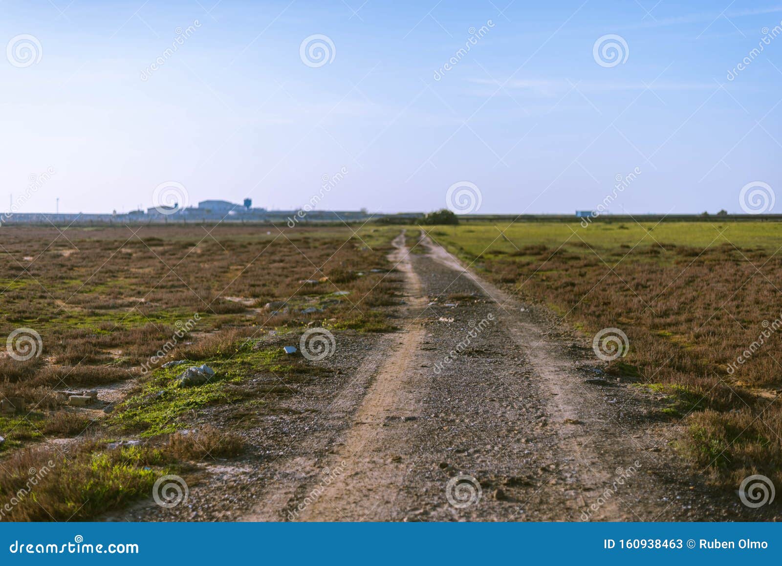 Path To the Horizon in the Marsh Stock Image - Image of pasture ...