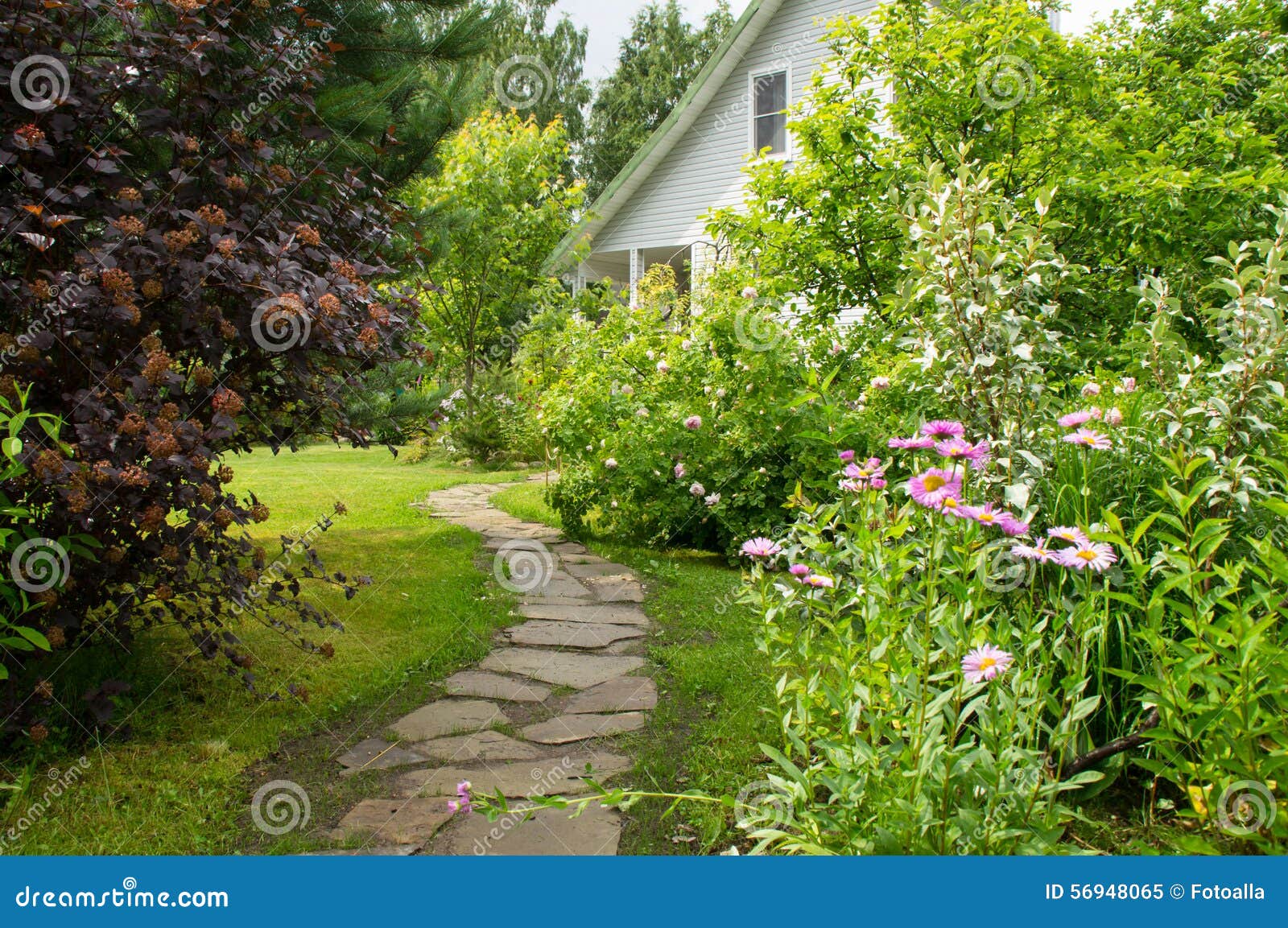 The path to the house stock image. Image of house, flowers - 56948065