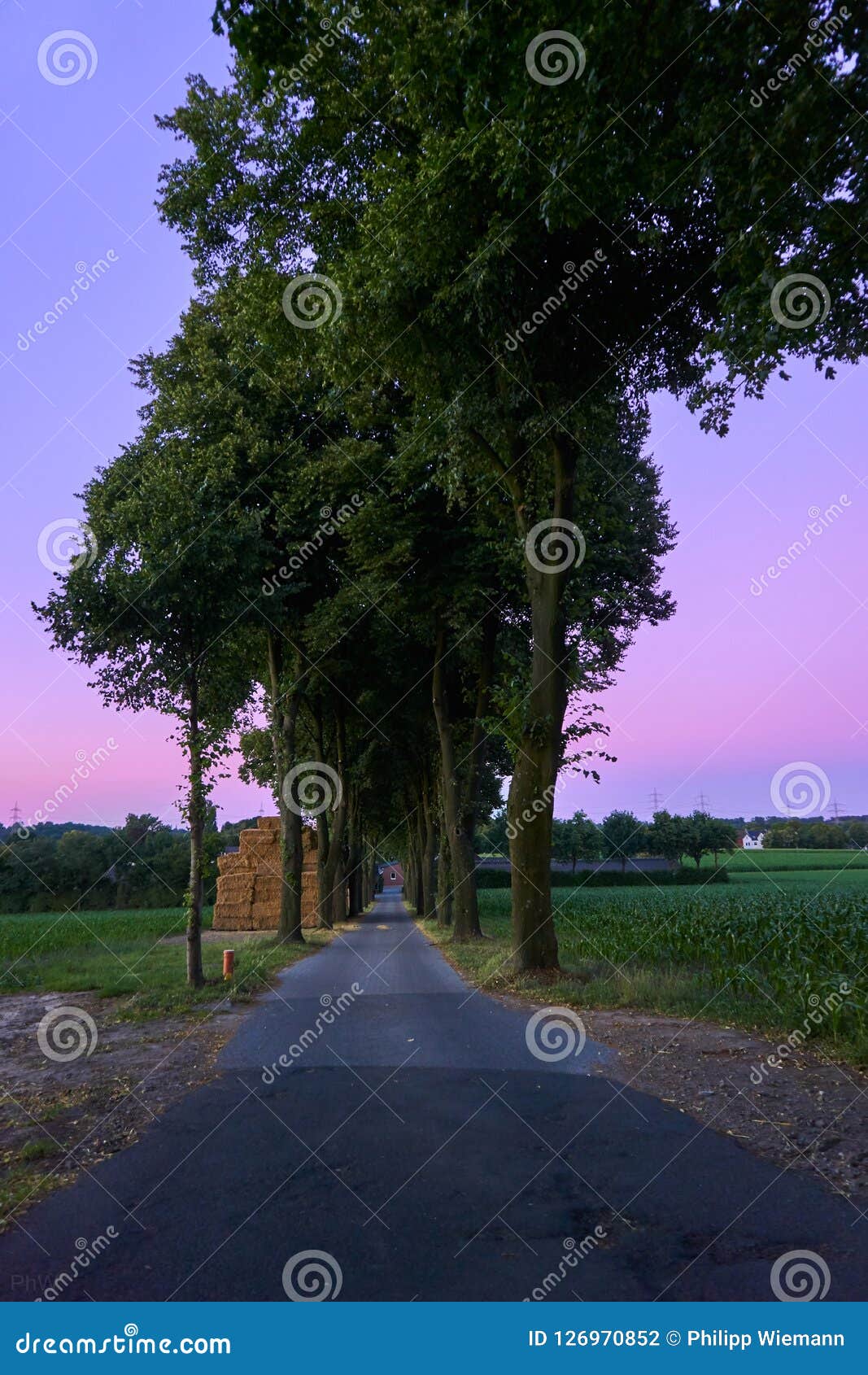 A path to a house stock photo. Image of elegant, luxury - 126970852