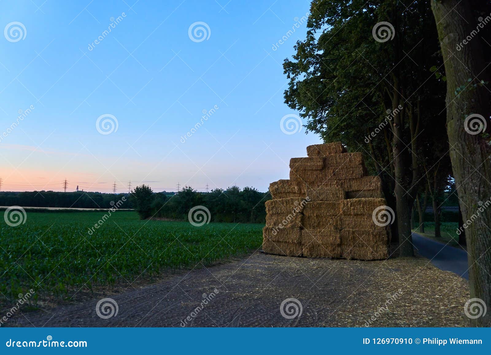 A path to a house stock photo. Image of lawn, architectural - 126970910