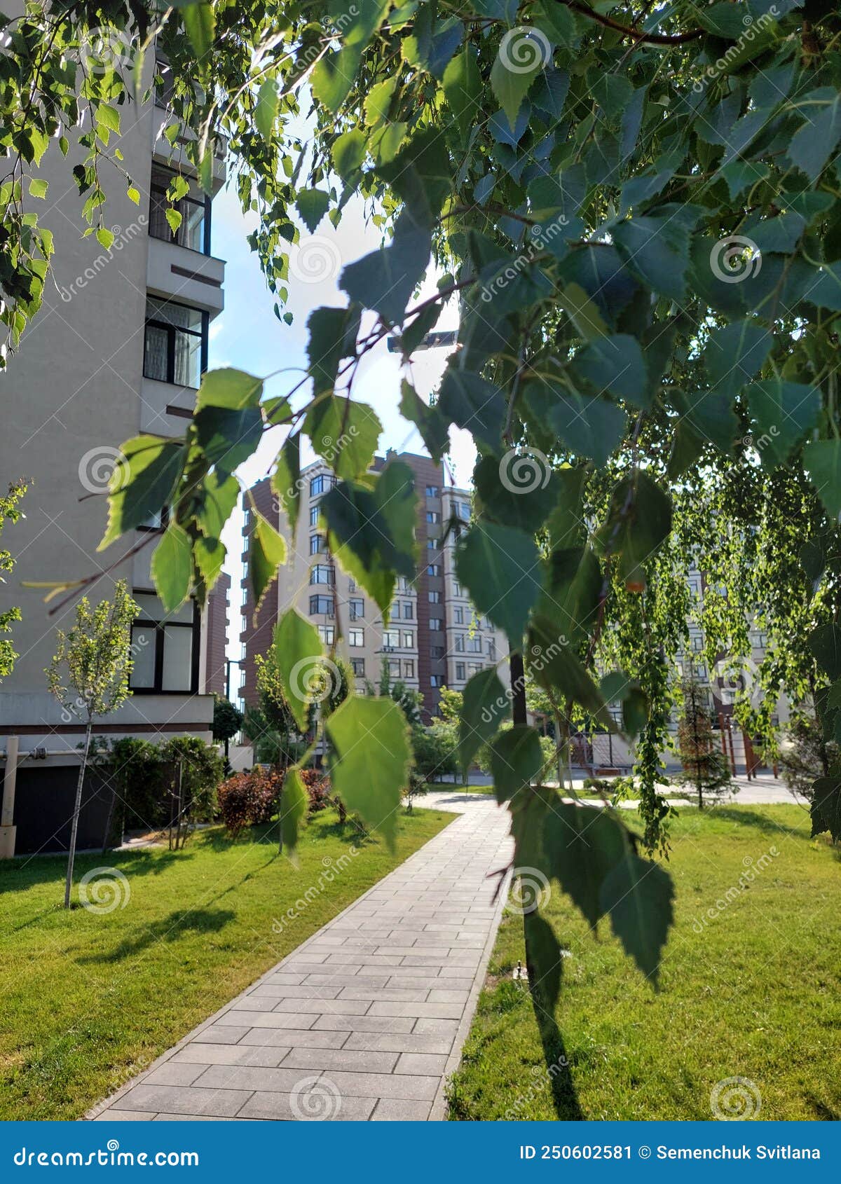 Path To the House Under the Trees Stock Image - Image of shrub, green ...