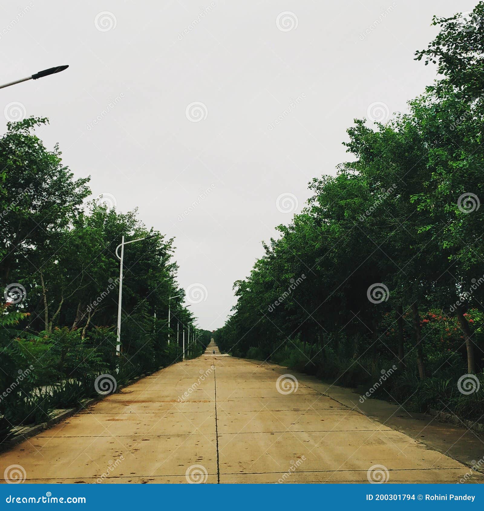 Path to infinity stock photo. Image of nature, infinity - 200301794