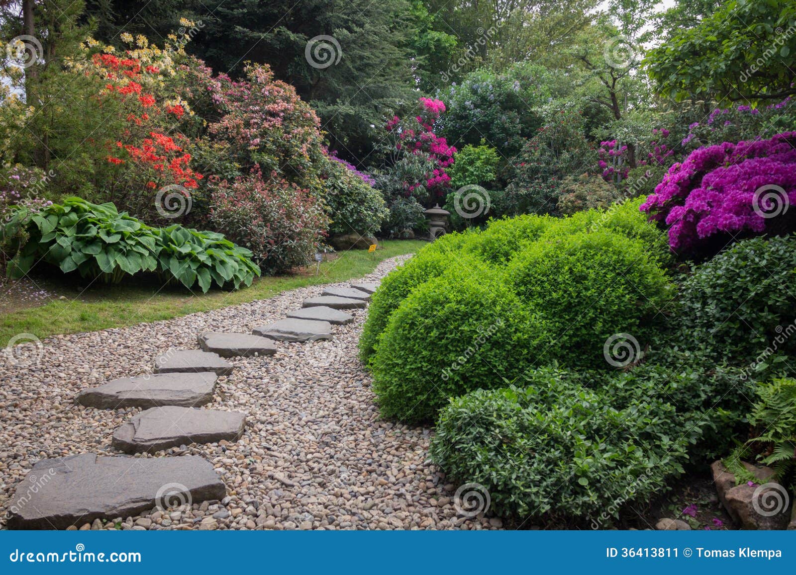 Path to Japanese garden stock image. Image of foliage - 36413811