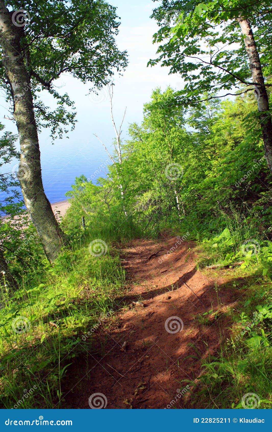 Path to the lake stock image. Image of vacation, walk - 22825211