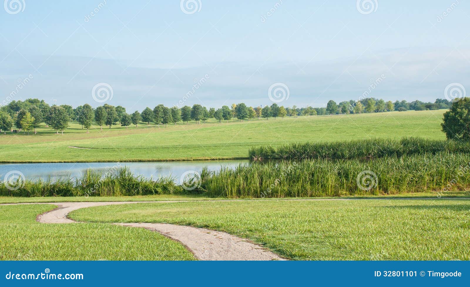 Path To the Lake stock image. Image of landscape, path - 32801101