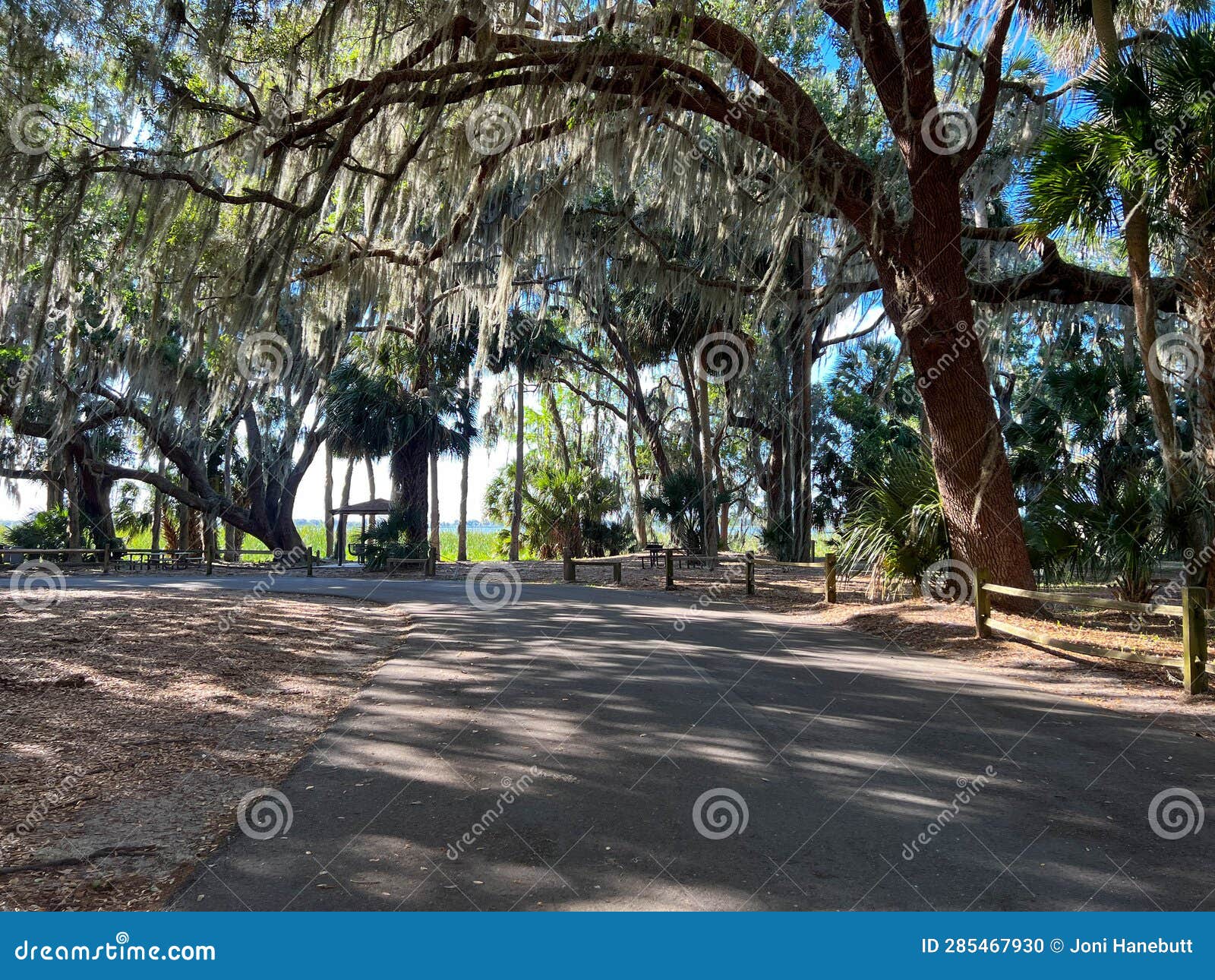 The Path To the Lake at Trimble Park in Mount Dora, Florida Stock Photo ...