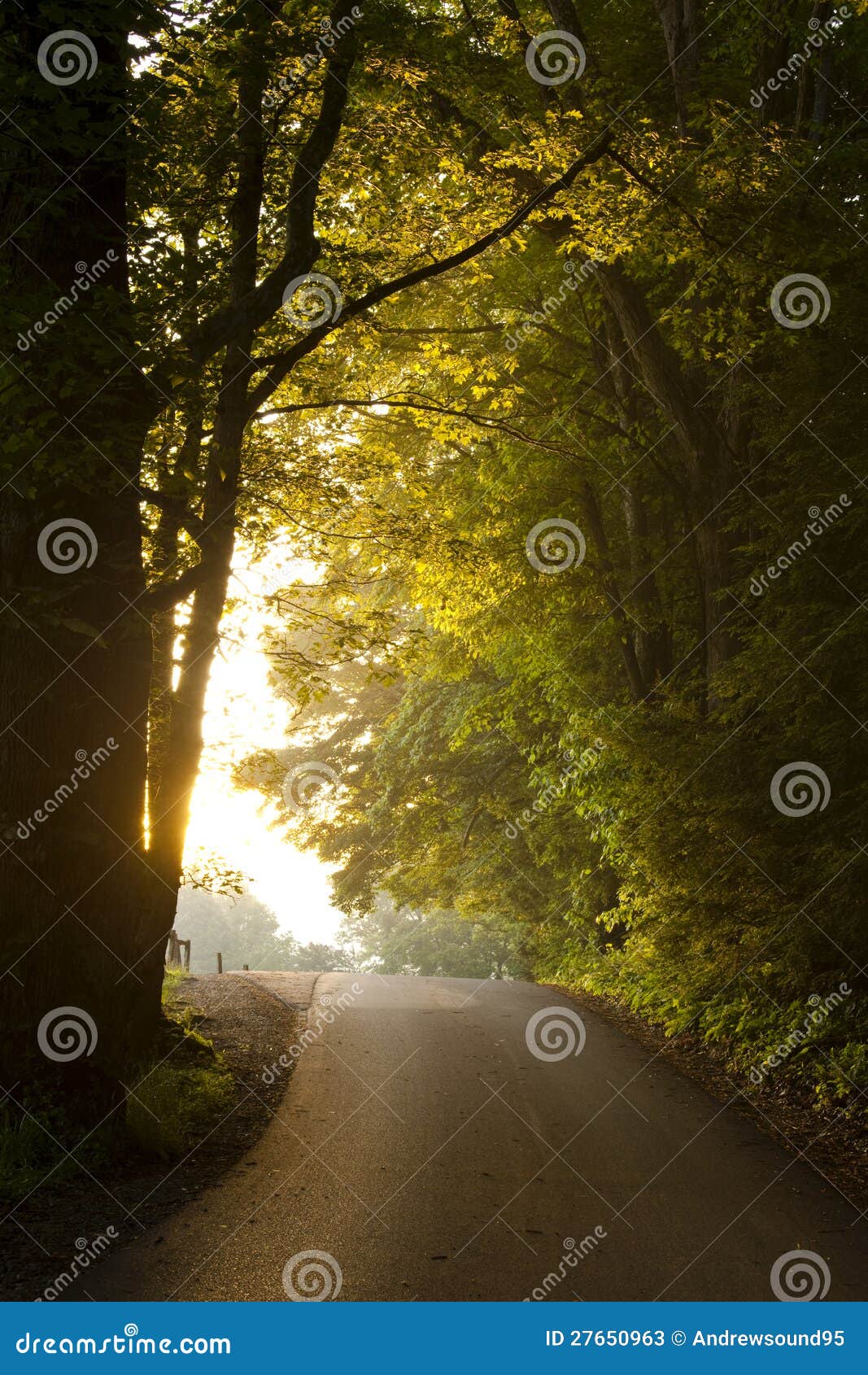 Path to the light stock image. Image of outdoors, tennessee - 27650963